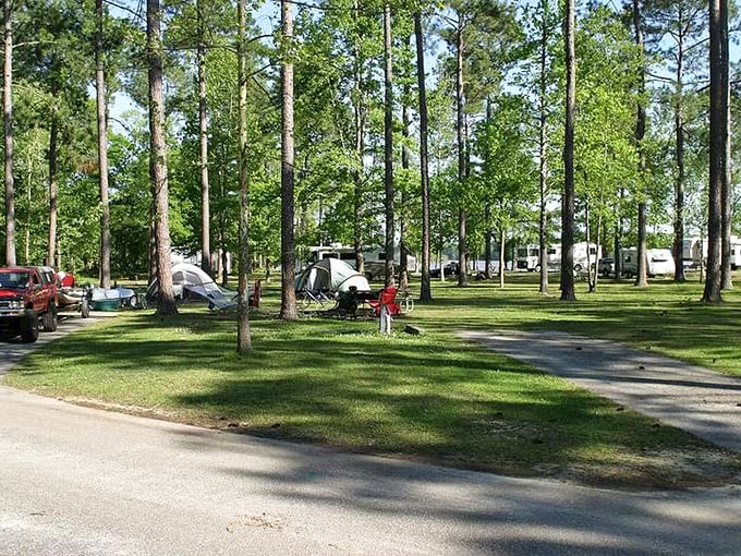 Mother Nature's playground! Lakepoint State Park is where "great outdoors" gets an Alabama accent. Time to dust off those hiking boots!