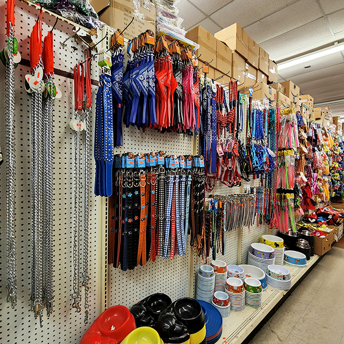 Pamper your pooch without emptying your wallet! This aisle has everything to keep Fido fashionable, comfortable, and thoroughly spoiled.