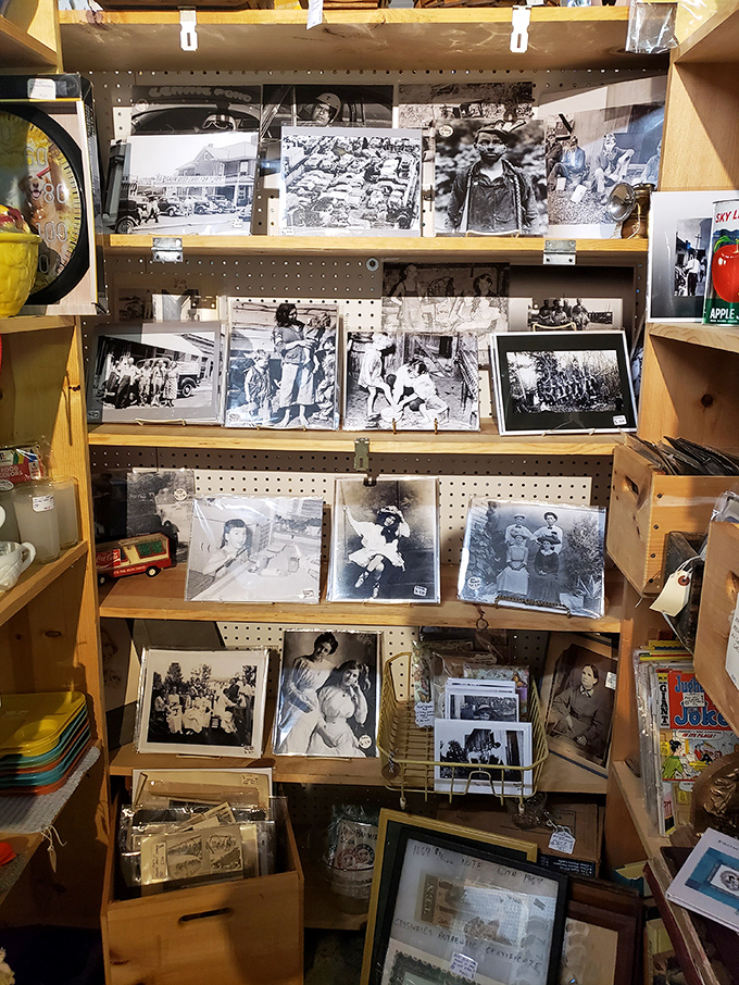 Frozen moments from strangers' lives, waiting for new homes. Each black and white photograph contains a universe of untold stories.