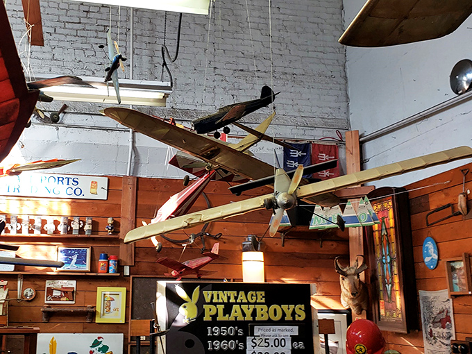 Look, up in the sky! It's a bird, it's a plane, it's... actually a plane. Vintage aviation meets whimsical decoration in this high-flying display.