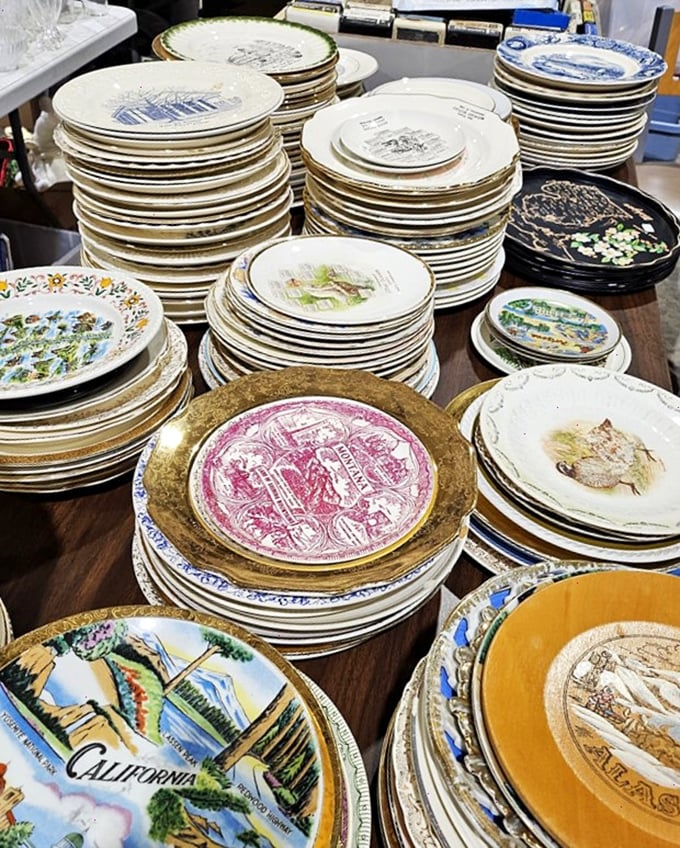 Plate expectations! This china collection is more diverse than a United Nations potluck. From California dreams to vintage scenes, there's a dish for every wish.