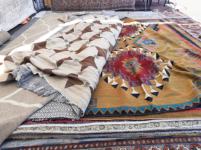 A magic carpet ride for your floors! These vibrant rugs could transport your decor from drab to fab faster than you can say "Aladdin."