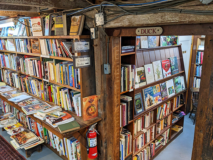 Duck! Low-flying knowledge ahead. This cozy nook is perfect for hatching your next big idea or just winging it with a good book.