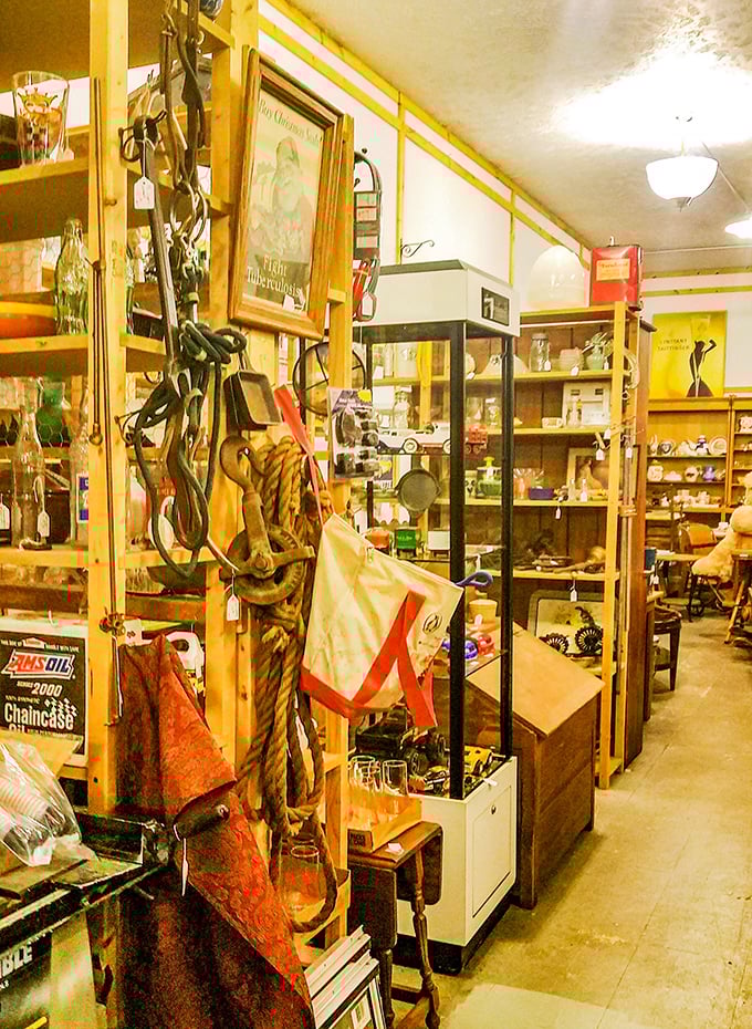 Shelves groaning under the weight of history. It's a game of Jenga meets "Antiques Roadshow."