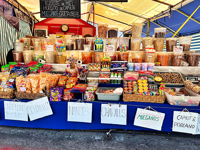 Sweet tooth's paradise! This candy-coated corner is like Willy Wonka's factory exploded in the best possible way. Dentists, look away now!