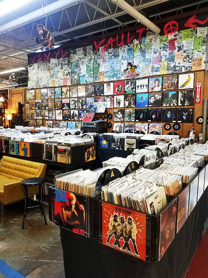 Vinyl enthusiasts, prepare to lose track of time! This record collection is a greatest hits of nostalgia, minus the scratches.