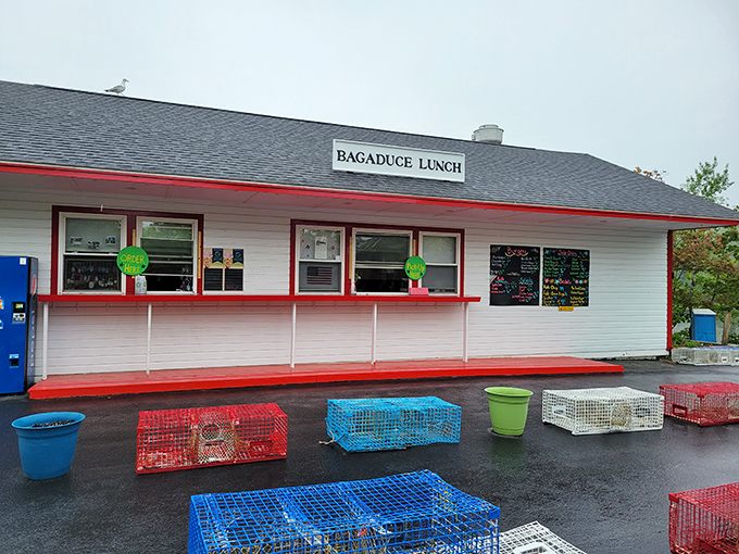 "Bagaduce Lunch: Where seafood dreams come true. This humble shack proves that sometimes, the best things in life come in paper baskets."