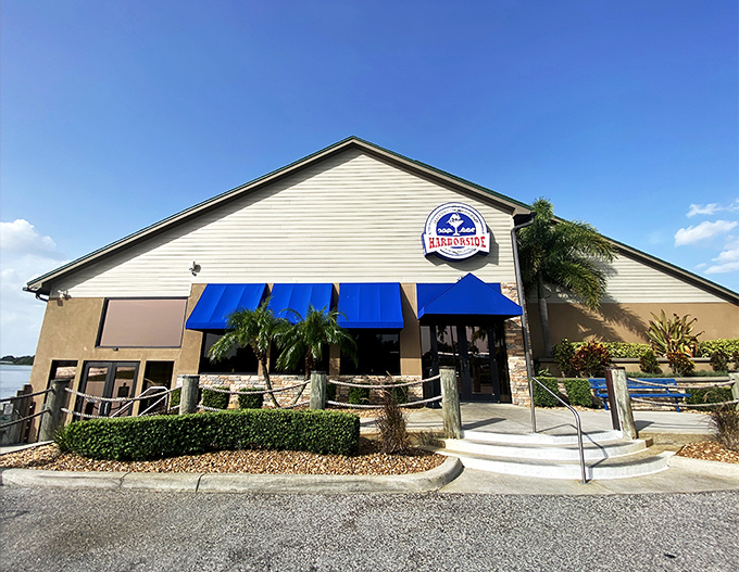 Part beach house, part flavor explosion &ndash; Harborside's seafood pasta is like a treasure chest for your taste buds!