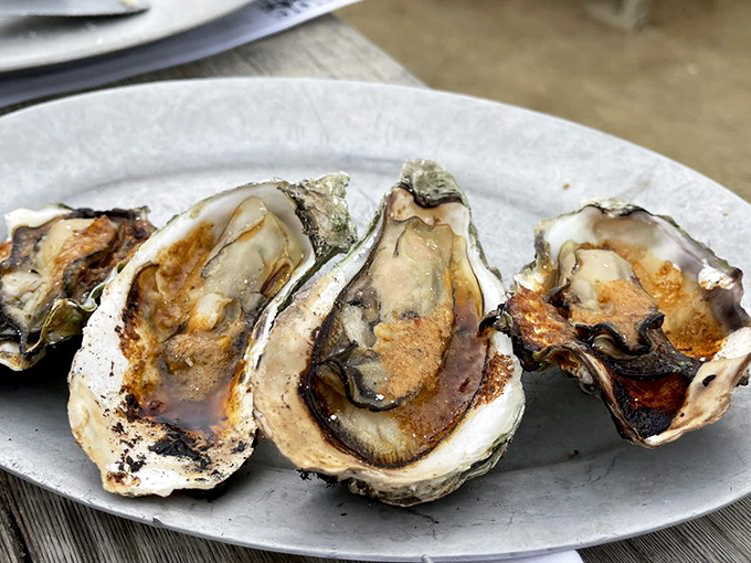 Hot off the grill and onto your plate! These BBQ oysters are like little volcanic islands of flavor, erupting with deliciousness.