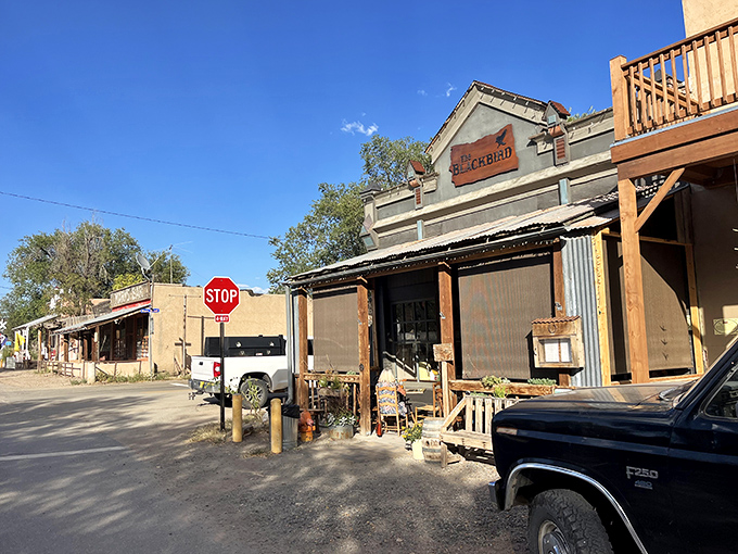 The Black Bird Saloon: Where the spirits are high, the stories are tall, and the Wi-Fi password is probably 'wyattearp'.