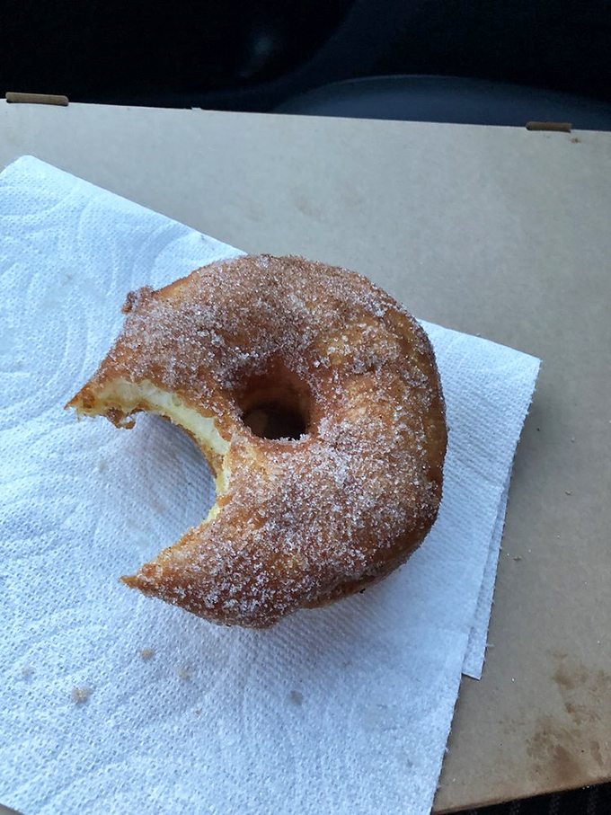 Sugar and spice and everything nice! This cinnamon sugar donut is like a warm hug for your taste buds.