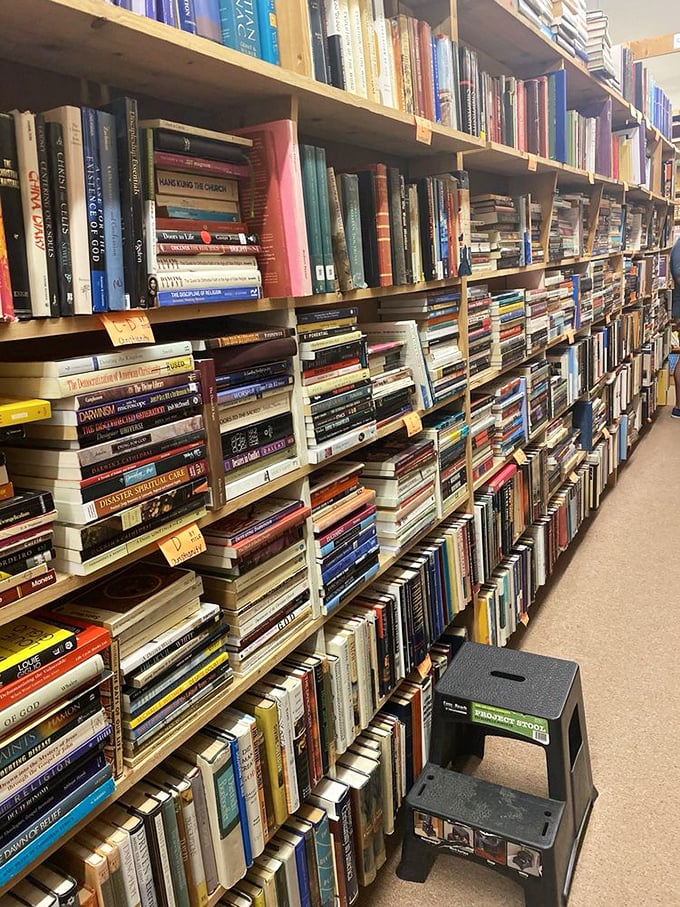 The fiction section: where reality takes a vacation and imagination runs wild. It's like a theme park for your mind, no lines required.