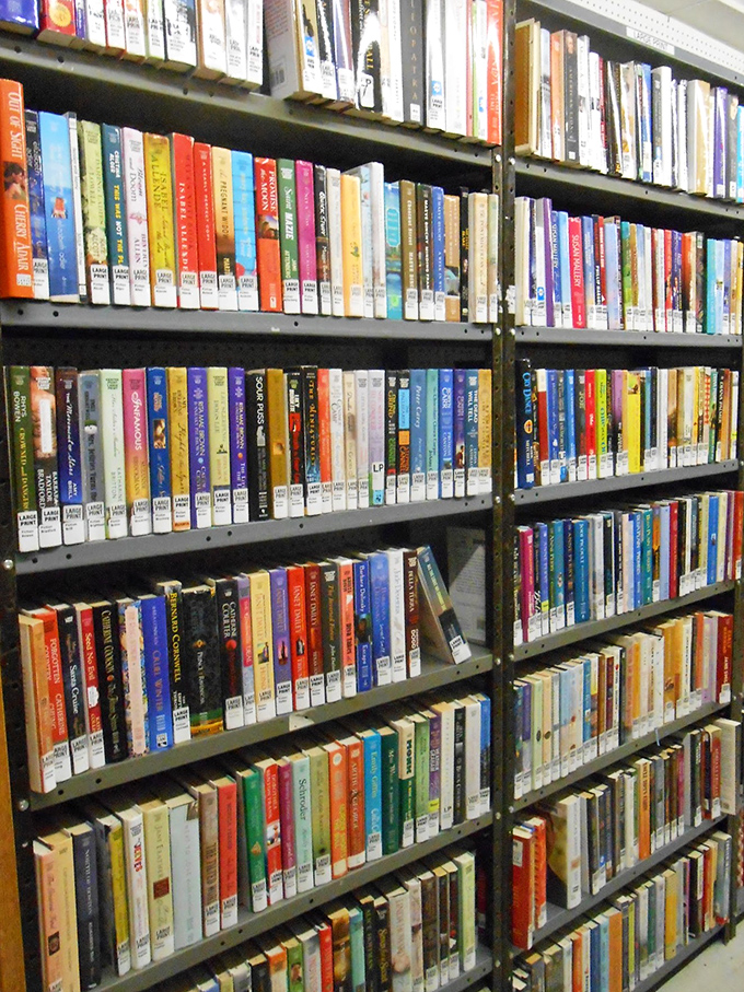 Fiction as far as the eye can see. It's like Netflix, but with that satisfying paper smell and no "Are you still watching?" prompts.