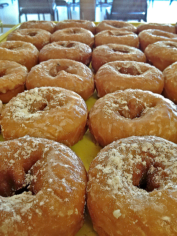 Golden rings of happiness! These doughnuts are so perfectly aligned, they'd make even the most particular Tetris player swoon.