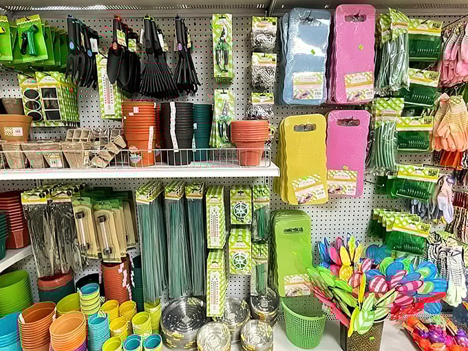 The gardening section proves you don't need a green thumb or fat wallet to grow something beautiful in your backyard.