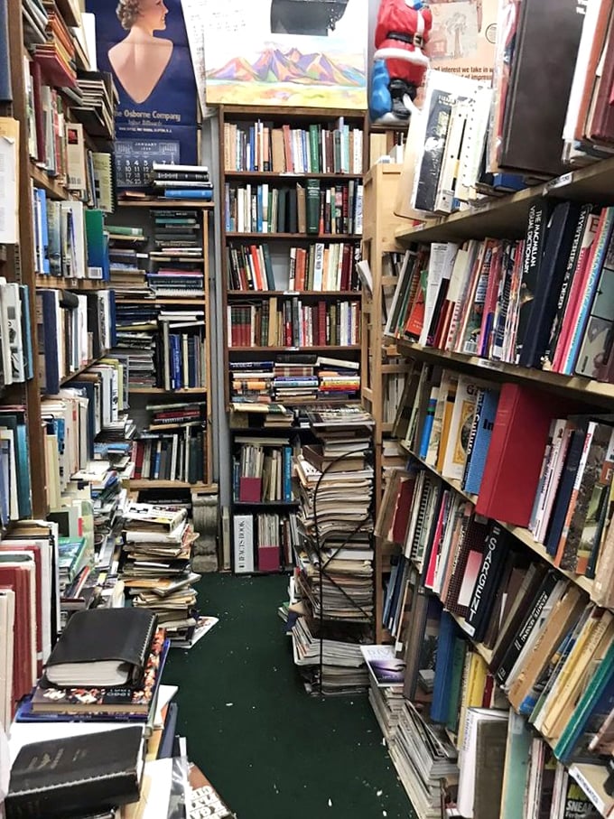 History buffs, rejoice! This shelf is like a time-traveling buffet, from ancient civilizations to last Tuesday. Bring your appetite for knowledge!