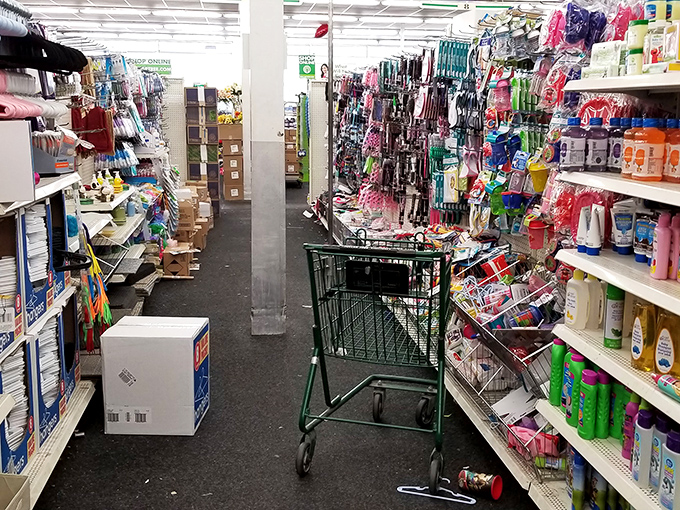 Home is where the heart is, and the bargains are! This aisle proves you can feather your nest without emptying your wallet.