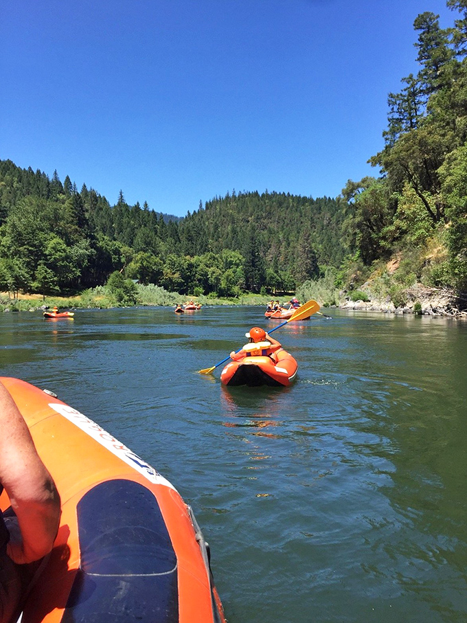Who needs a gym when you can kayak through nature's obstacle course? It's like Frogger, but with better scenery and fewer cars.