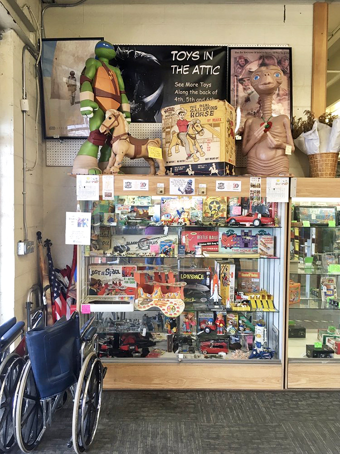 Nostalgia overload! From Ninja Turtles to E.T., this corner is where your inner child comes out to play.