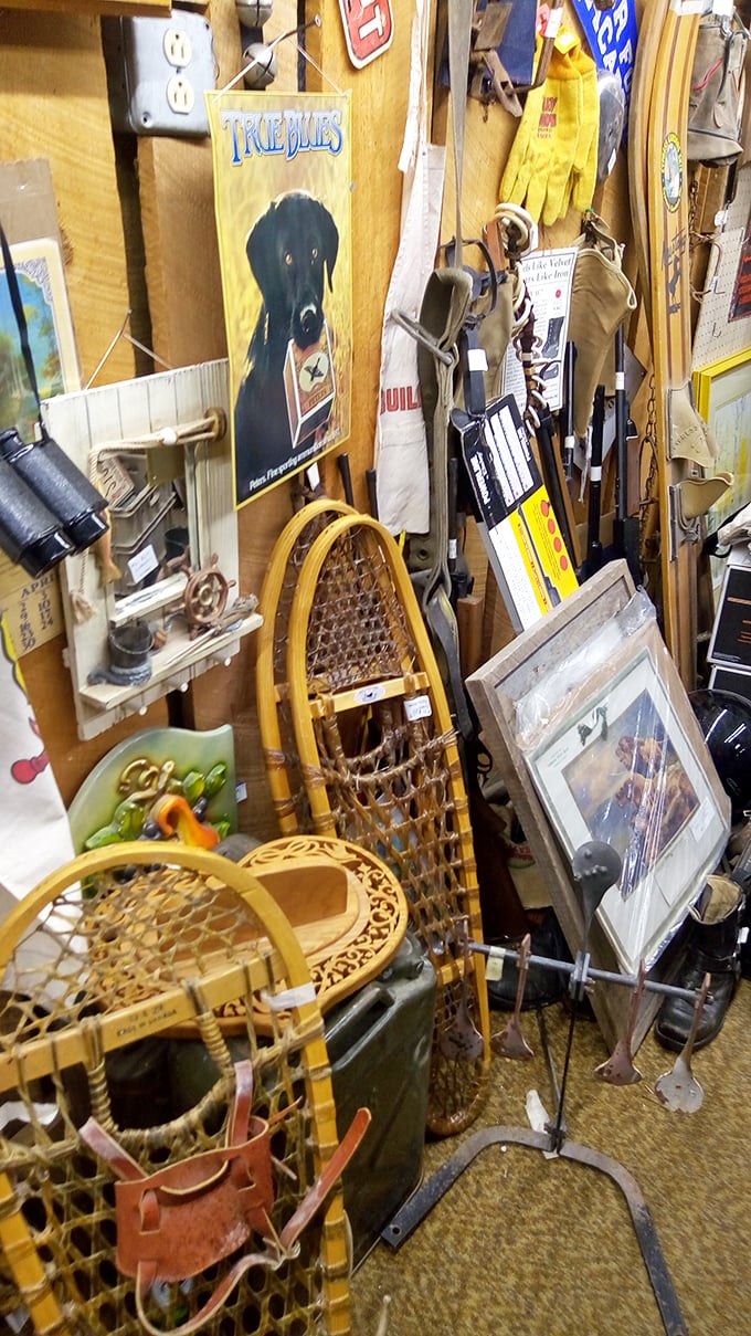 Snow way! These vintage ski-snowshoes aren't just winter gear; they're a ticket to relive the days when "apr&eacute;s-ski" meant hot cocoa by the fire.