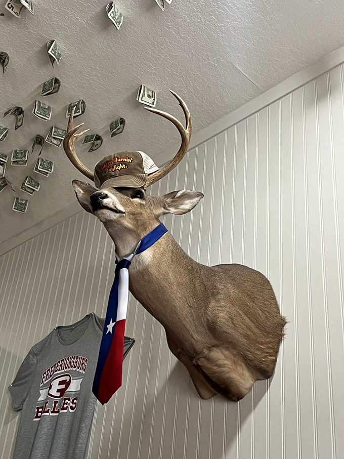 Meet the most dapper deer in Texas! With that tie and hat, he's clearly the maitre d' of the forest. Wonder if he takes reservations?