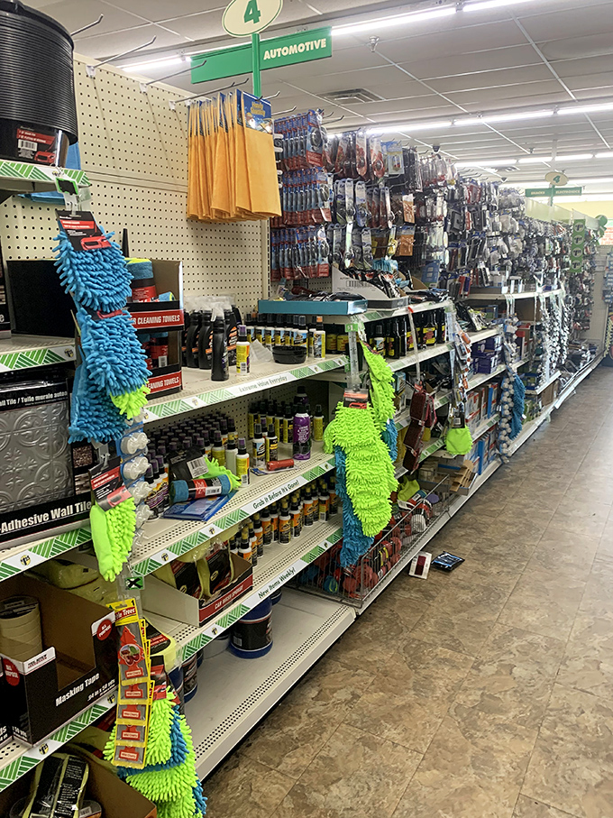 Who says you can't pimp your ride on a budget? This automotive aisle is where frugal meets fast and furious. Rev up those savings!