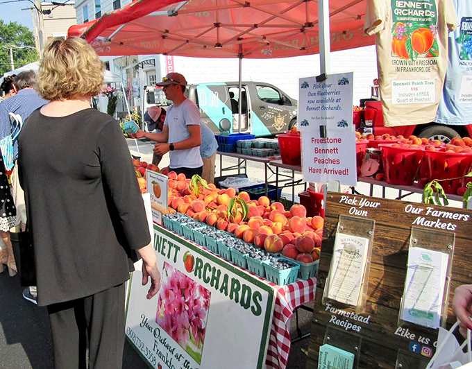 Bennett Orchards' peaches, displayed like edible jewels at the farmers market, remind us why summer fruit picked this morning beats anything from a supermarket.