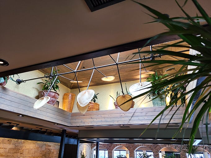 Look up and discover a garden in the sky&mdash;hanging plants that bring the outdoors in without the Nebraska weather.