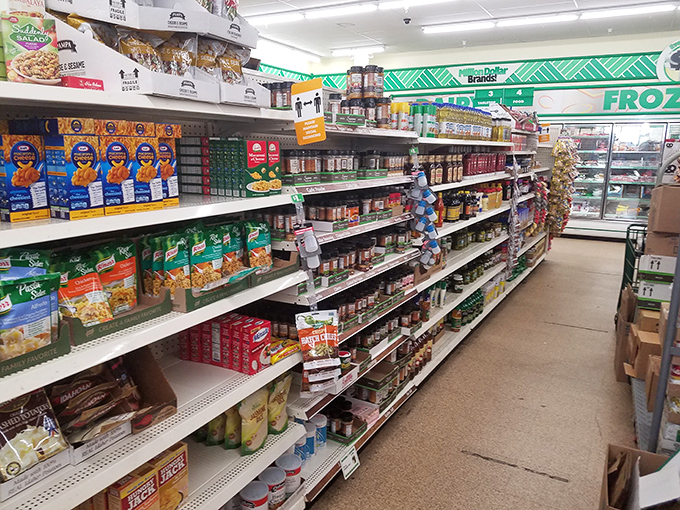 Spice up your life without breaking the bank! This seasoning selection is a flavor fiesta that would make even Gordon Ramsay smile.