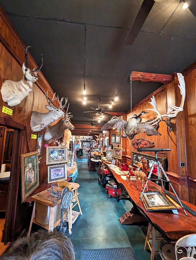 The ultimate man cave decor. These mounted deer heads seem to be judging your choice of beverage. Stick with mead to fit the theme.