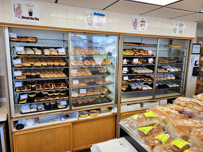 Donut decision paralysis is real, folks! This case holds more temptations than a late-night infomercial, but infinitely more satisfying.