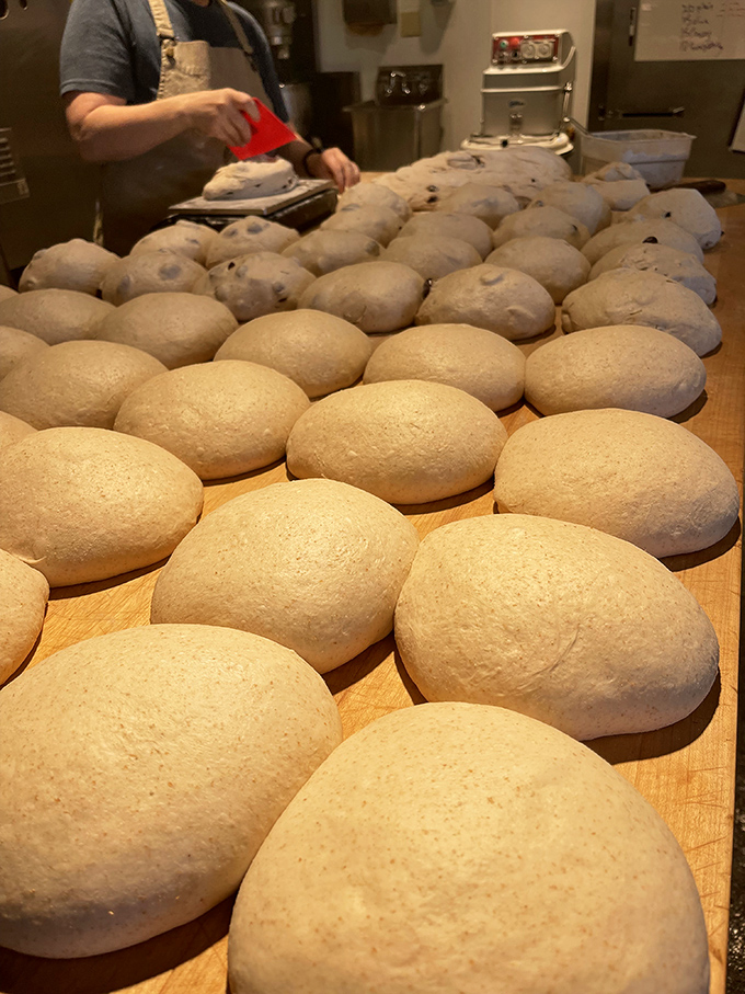 Dough-main of the rising stars! These soon-to-be loaves are prepping for their big debut. Talk about a glow-up!