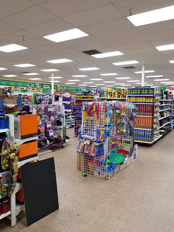 Welcome to the Narnia of necessities! Through these aisles, adventures in affordable living await at every turn.