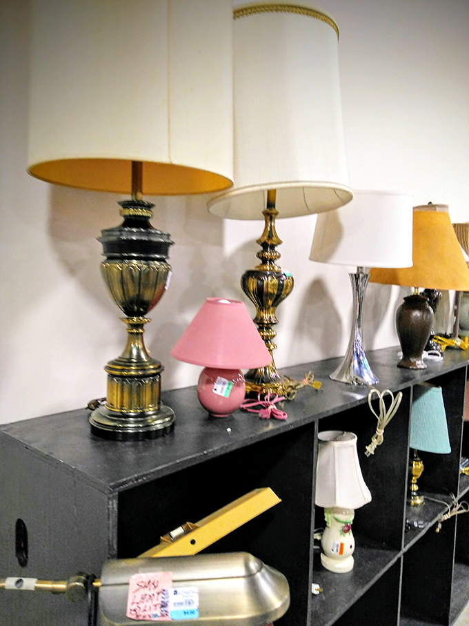 Illuminating finds at every turn! These lamps aren't just lighting fixtures; they're conversation starters waiting to brighten up your space.