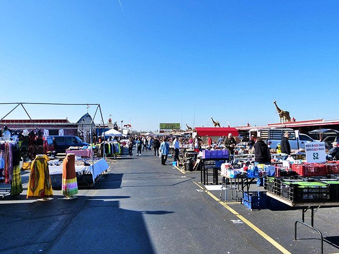 The outdoor market area&mdash;where the real wheeling and dealing happens under open skies and the watchful eyes of experienced hagglers.