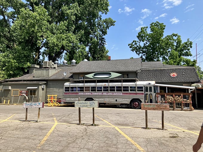 Foxfire Fixin's: Where dining meets time travel! This converted bus is more intriguing than the mystery meat in your high school cafeteria.