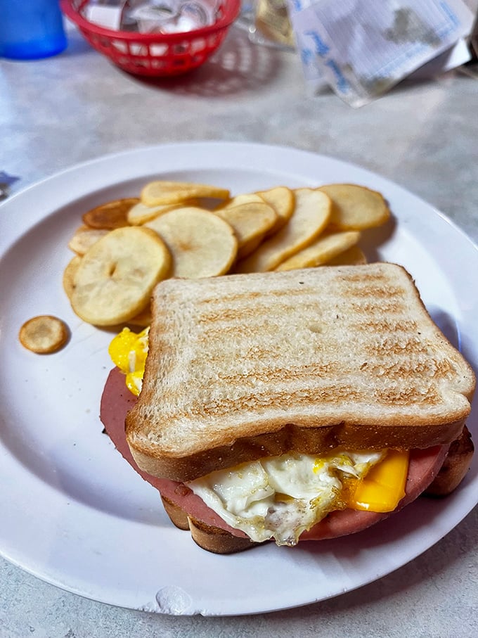 Behold, the sandwich that puts your sad desk lunch to shame. With eggs peeking out like curious yellow eyes, it's practically winking at you.