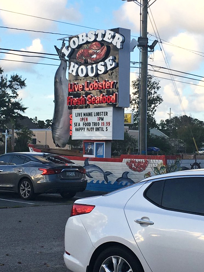The bat signal for seafood lovers! This sign is like a lighthouse guiding hungry sailors to buttery, lobstery bliss.