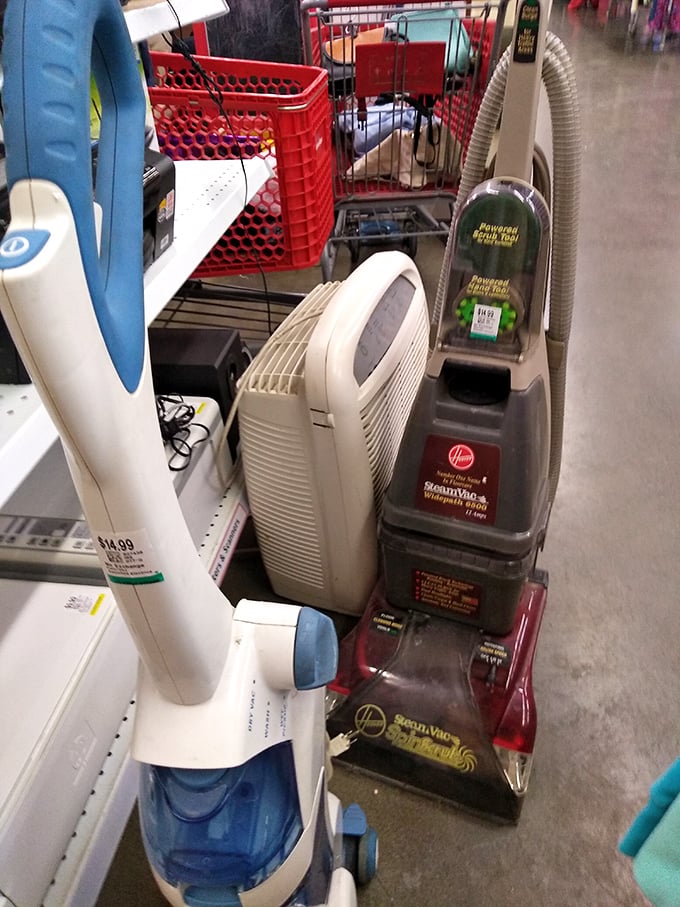 Vacuum cleaners with stories to tell. They've seen things, cleaned things, and are ready for their next dust-busting adventure.