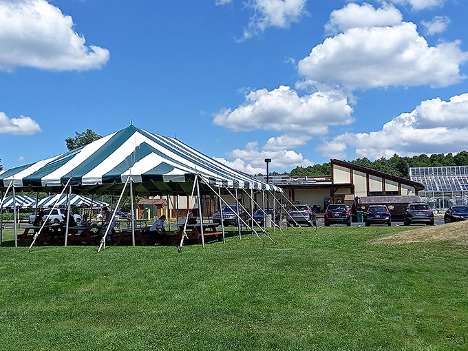 Verrill Farm: Where "farm-to-table" isn't just a buzzword, it's a way of life. Imagine a farmers market had a baby with Eden &ndash; that's Verrill Farm.