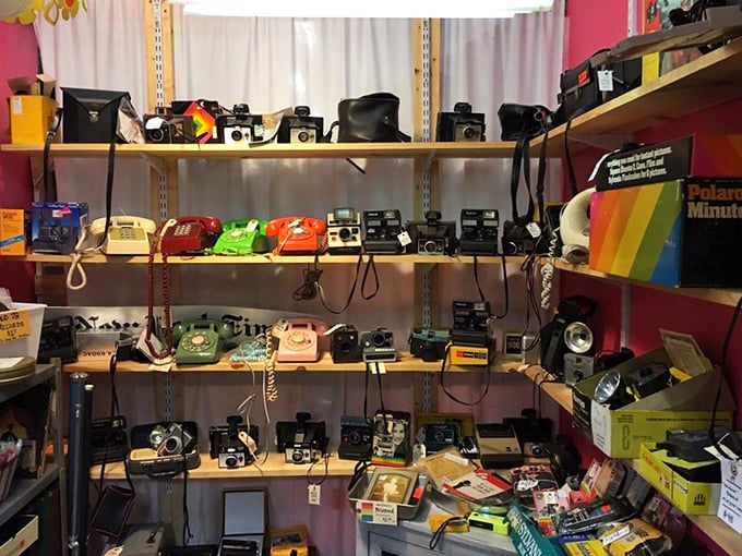Say cheese and hold the line! These vintage cameras and phones are ready for their close-up, no filter needed.