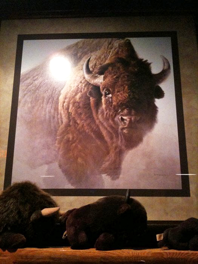 This buffalo's giving you the eye. Don't worry, he's just making sure you're enjoying your meal. Talk about personal service!