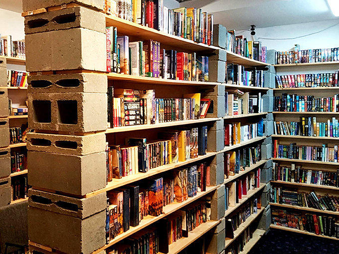 A rainbow of reading awaits! Whether you're into thrillers, romance, or quantum physics, there's a colorful spine calling your name.