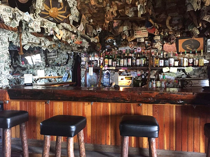 A bar that could give Scrooge McDuck's money bin a run for its money. Literally!