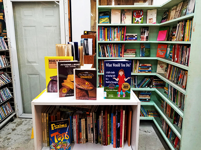 Shelf life redefined! These sturdy sentinels stand guard over countless adventures, just waiting for the right reader to come along.