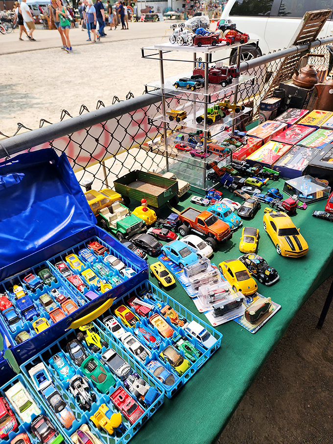 Honey, I shrunk the car collection! These miniature motors are fueling big dreams for collectors young and old.