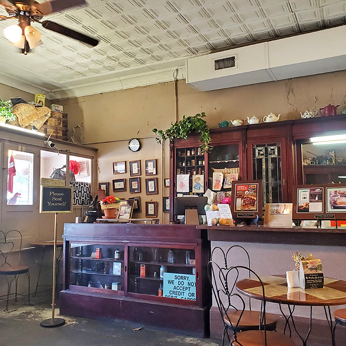The counter at Charlotte's isn't just where orders happen&mdash;it's where small-town America still thrives, one slice of pie at a time.