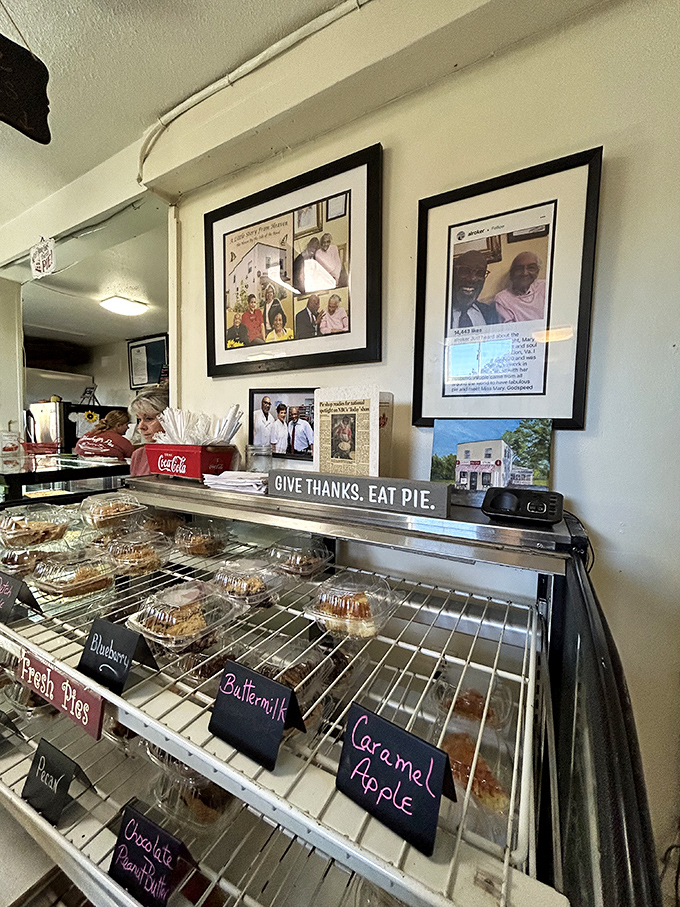 Pie paradise! This counter is where dreams come true and diets go to die. Resistance is futile, so grab a fork and dig in!