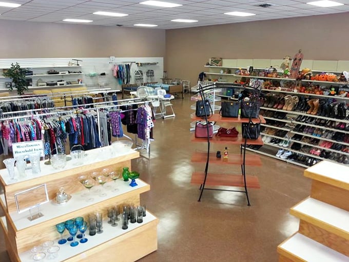 Glassware galore! From dainty teacups to sturdy tumblers, this display is a toast to second chances and the art of sipping in style.