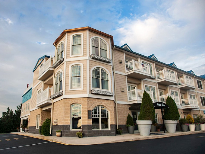 Coastal comfort: This isn't just a hotel; it's a home away from home with a view that'll make your Instagram followers green with envy.